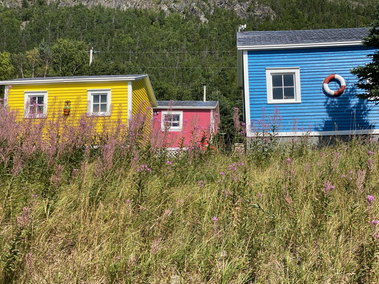 Best Boondocking Spot in Newfoundland! – Wonder Where Now?